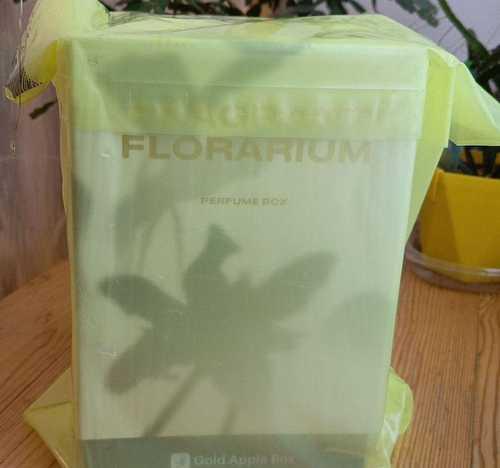 Goldapplebox fragrant florarium