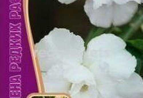 Адениум Белая роза 3 шт редкие семена
