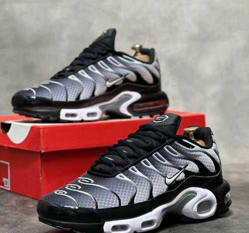 Кроссовки Nike Air Max Tn Plus