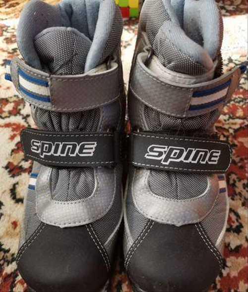 Лыжные ботинки spine