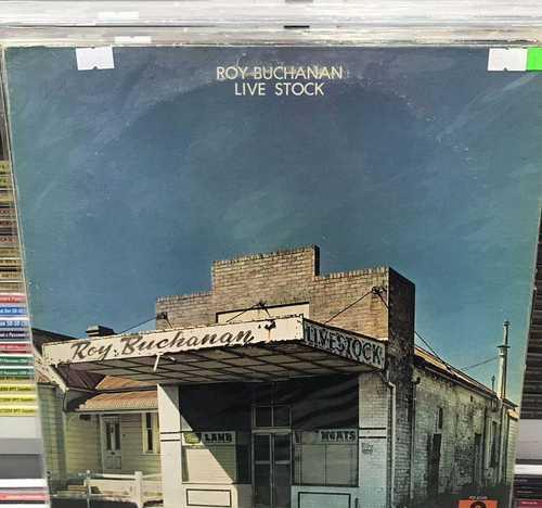 Roy Buchanan виниловые пластинки lp