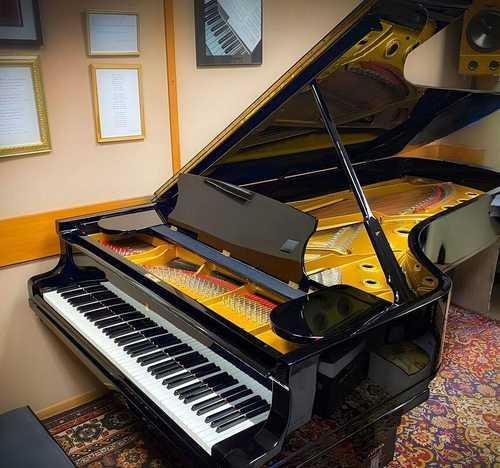 Steinway & Sons D-274 большой концертный рояль