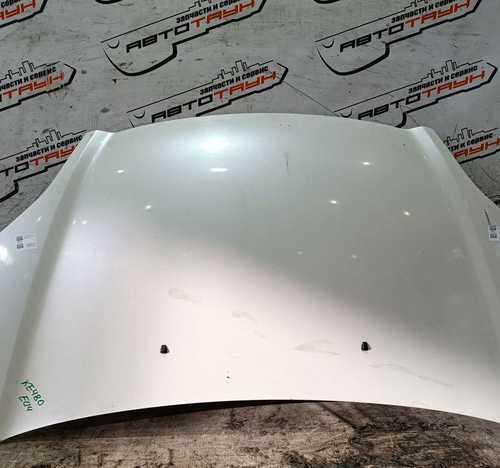 Капот honda civic EU1 EU2 EU3 EU4 60100S6A000ZZ белый, NH636PV KE480