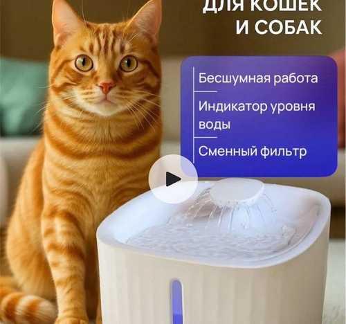 Для кота