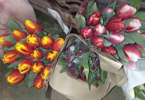Тюльпаны от 7 шт Реал цена
