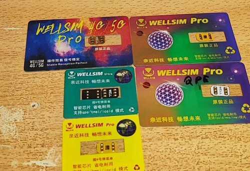 Wellsim r-sim tmsi / QPE 2023