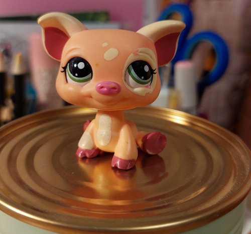 Littlest pet shop lps свинка