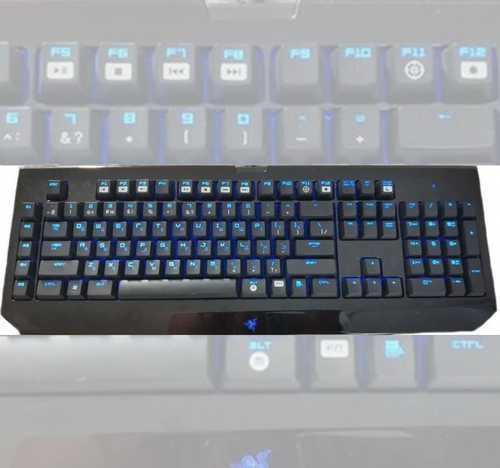 Razer Steelseries Roccat Mad Catz Tesoro Logitech