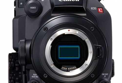 Canon EOS C300 III RUS