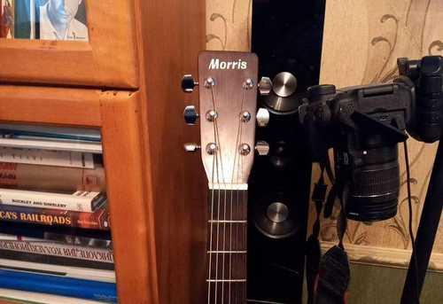 Акустическая гитара Morris Japan