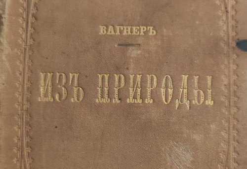 Вагнер из природы 1864