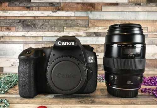 Canon EOS 60D kit EF 100mm 2.8 Macro (A270)