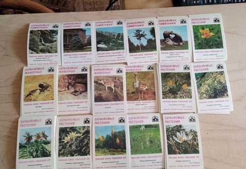 Календарики СССР красная книга зоопарк грибы приро