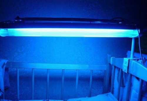 Лампа для фототерапии новорождённых