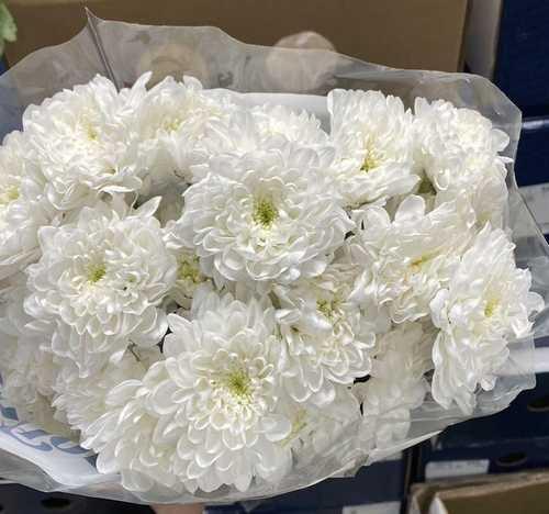 Цветы