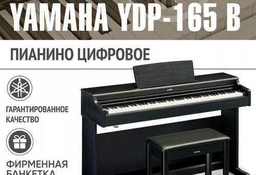 Yamaha YDP 165 B + Банкетка. Новое, Гарантия