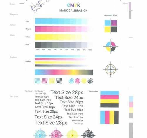 Печатающая головка Epson L800