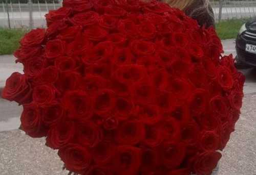Цветы 101 красная роза 50 см
