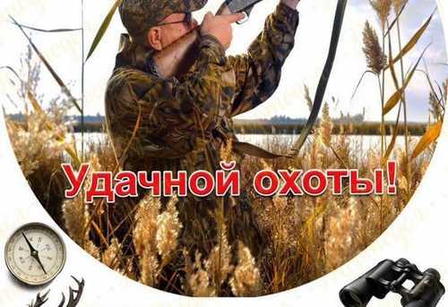 Рога лося