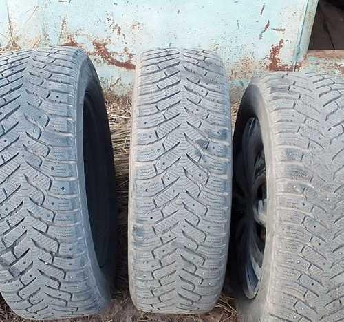 Observe X-10 195/65 R15