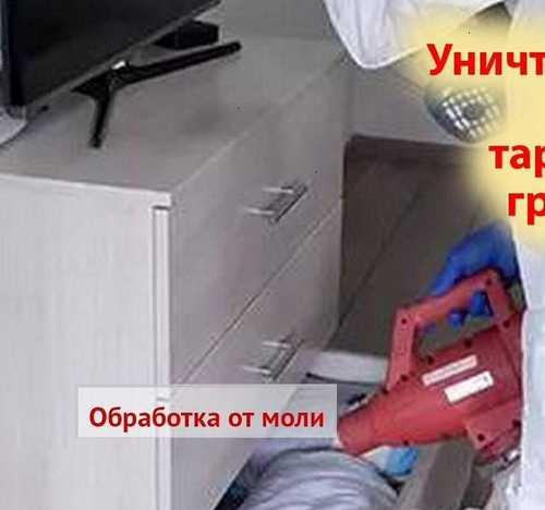 Уничтожение клопов тараканов грызунов блох