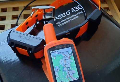 Навигатор garmin astro 430 с ошейником t20