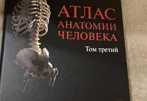 Атлас анатомии человека