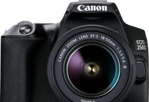 Зеркальный фотоаппарат canon eos 250 d 18-55 IS