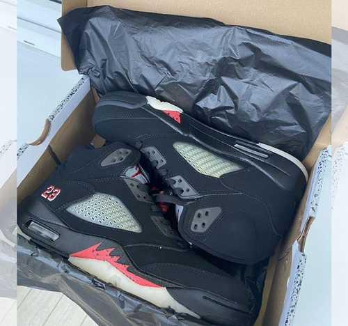 Кроссовки Nike Air Jordan 5 Gore Tex (на руках)