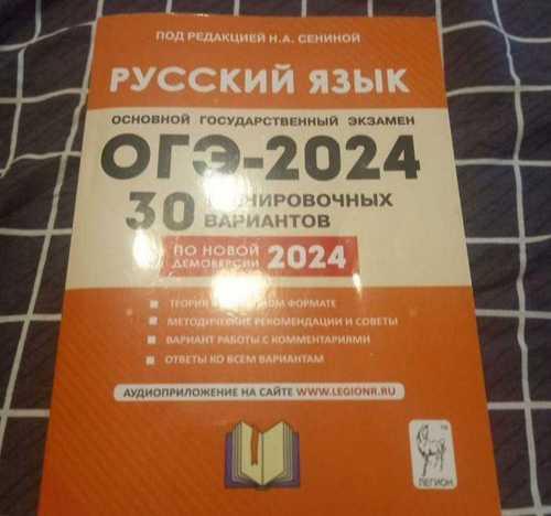 ОГЭ русский язык 2024