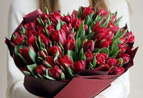 Цветы Тюльпаны пионовидные Тюльпаны красные