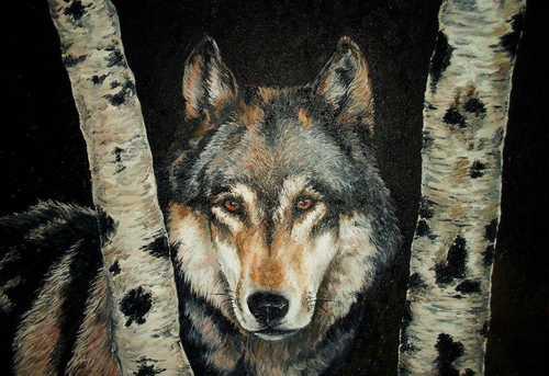 Картина маслом " Волк "