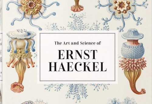 Ernst Haeckel / альбом Taschen о мире природы