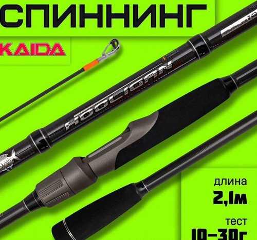 Спиннинг штекерный Kaida 843 Hooligan C.W.10-30g