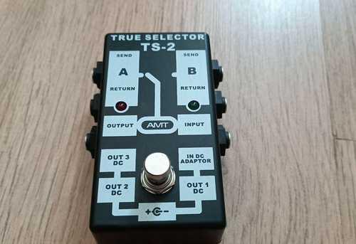 AMT TS-2 True Selector