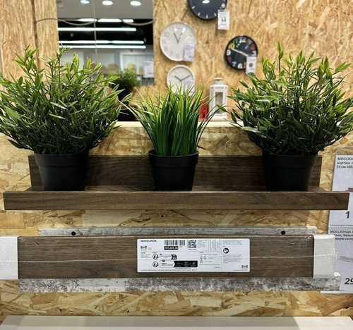 Полка IKEA мосслэнда