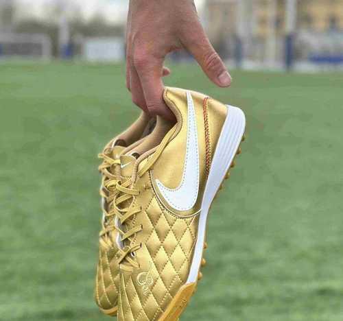 Сороконожки Nike Tiempo Legend (QHM-4898J0)