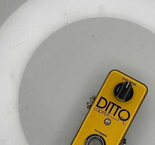 Tc electronic Ditto Looper Gold Продажа/Обмен