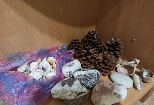 Шишки и морские камни