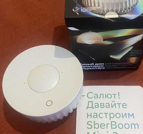 Sber boom mini 2