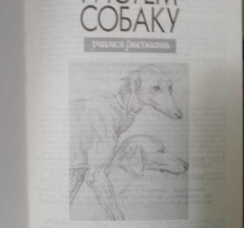 Рисуем собаку, учимся рисовать