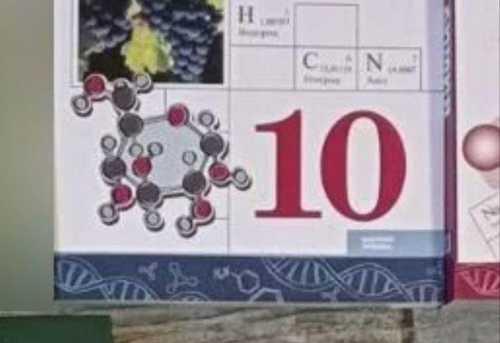 Для Алексея химия 10 класс
