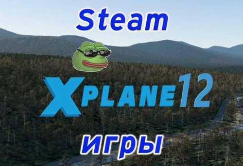 XPlane 12 - Пополнение Steam