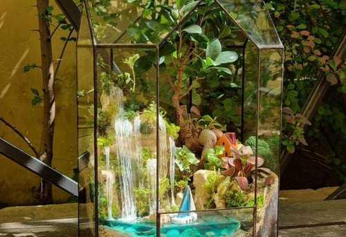 Флорариум с бонсаем и водопадом в тепличке