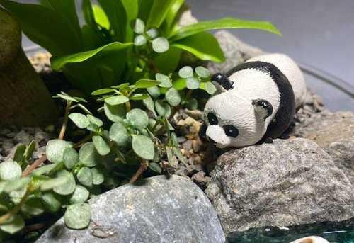 Флорариум «Сад панды »