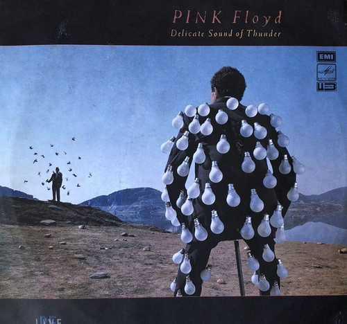 Pink Floyd Delicate Sound of Thunder 2 lp