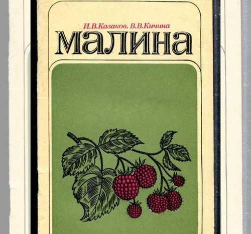 Малина