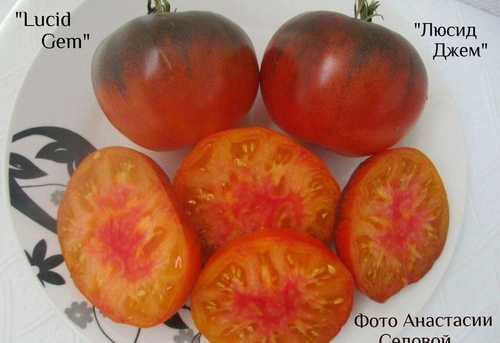 Семена помидоры, перца фасоли, кукурузы