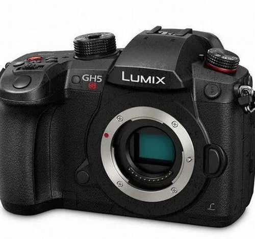 Panasonic Lumix GH5S