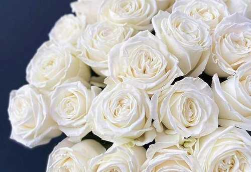 Пионовидные розы оптом Эквадор белые розы